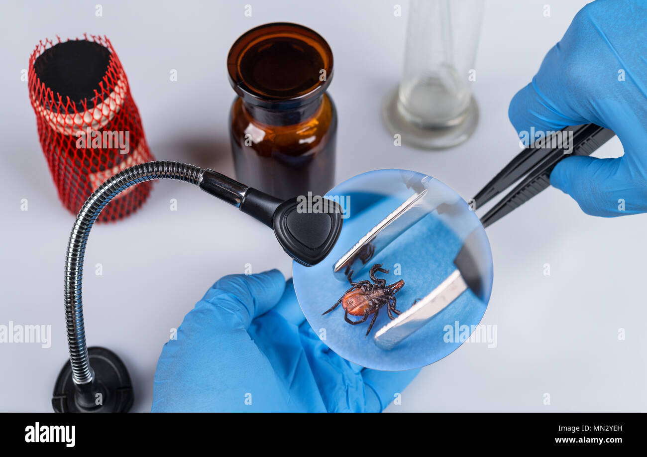 Glass test for meningitis hi-res stock photography and images - Alamy