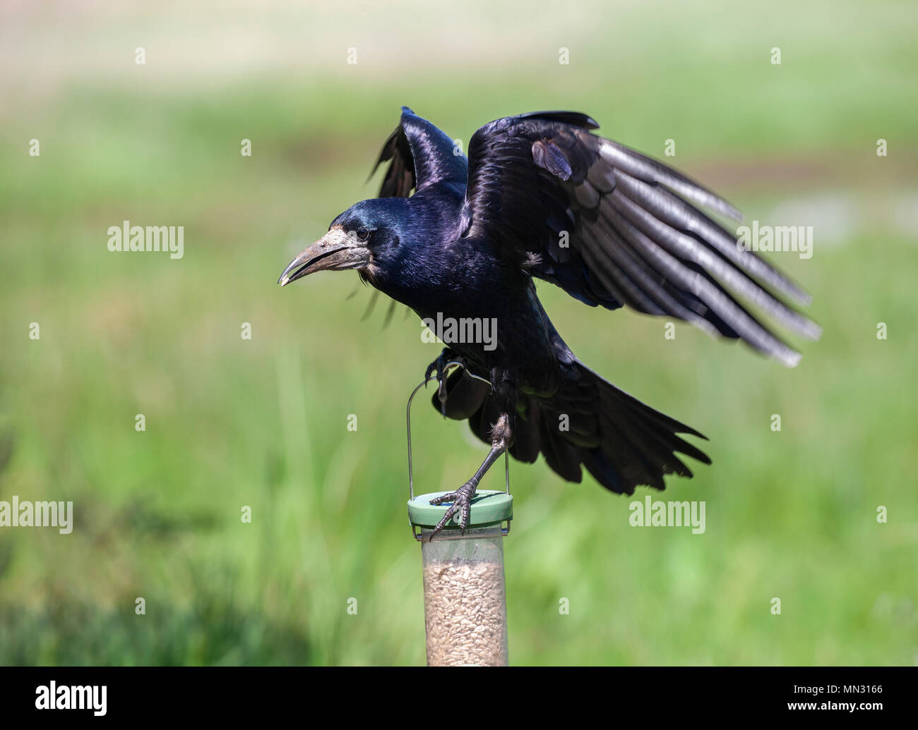 From renfrewshire hi-res stock photography and images - Alamy