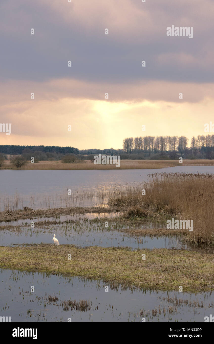 Sunset at Minsmere, Suffolk Stock Photo - Alamy