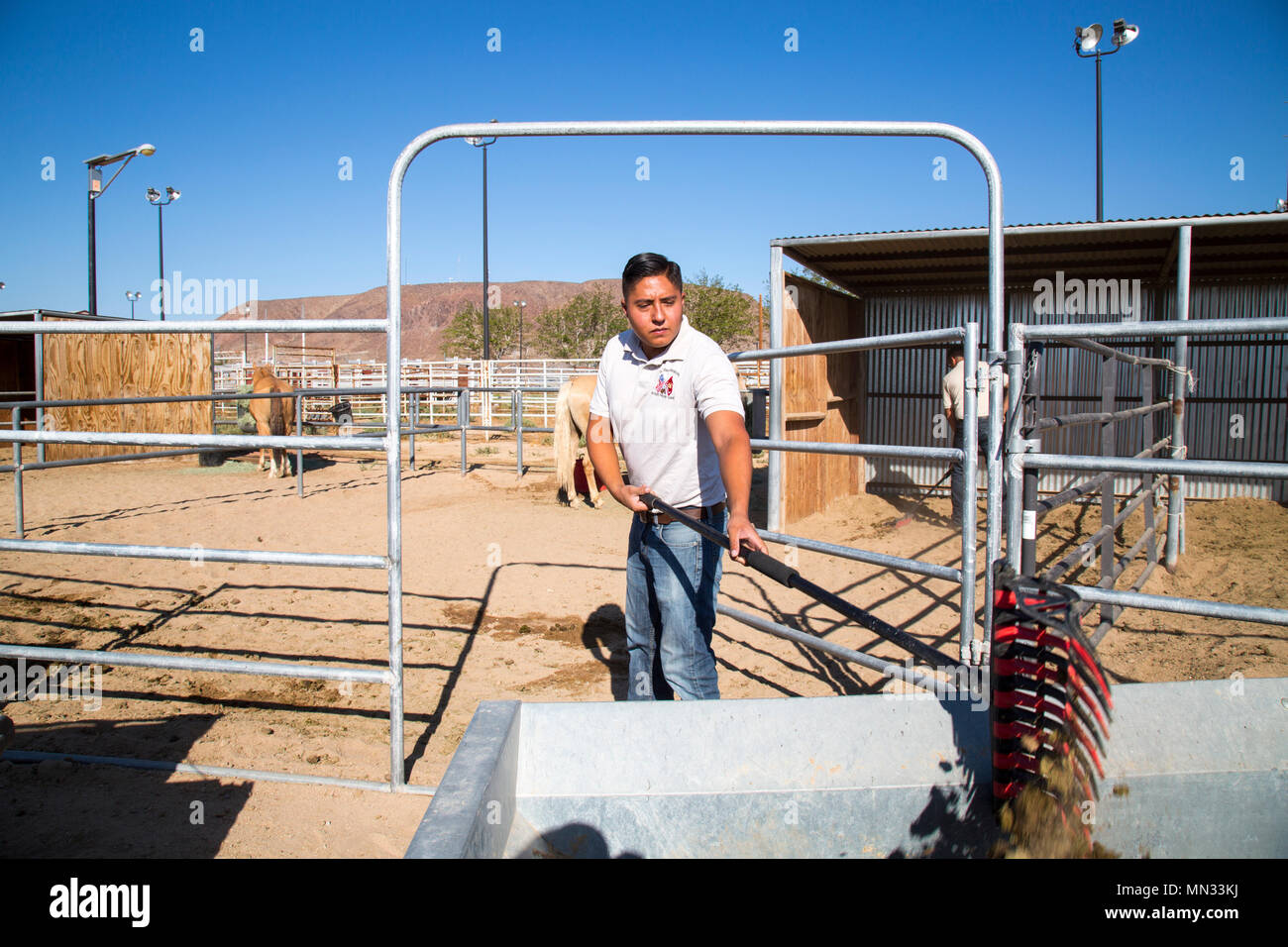 Sergeant Fernando Blanca, stableman with the Marine Corps' last ...