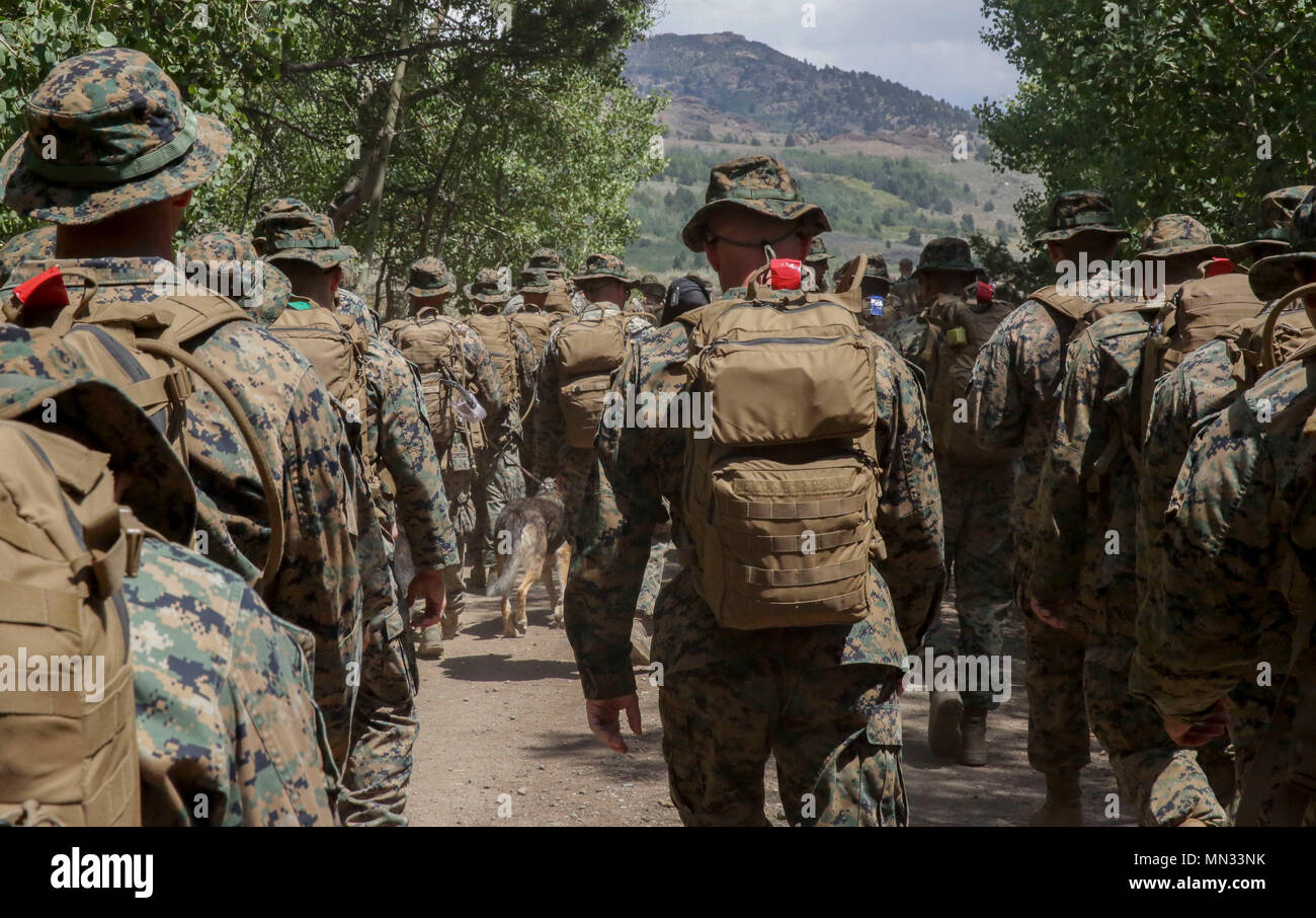 6th Communication Battalion High Resolution Stock Photography and ...