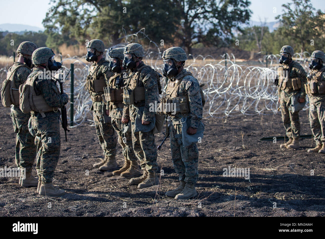 1st Combat Engineer Battalion High Resolution Stock Photography and ...