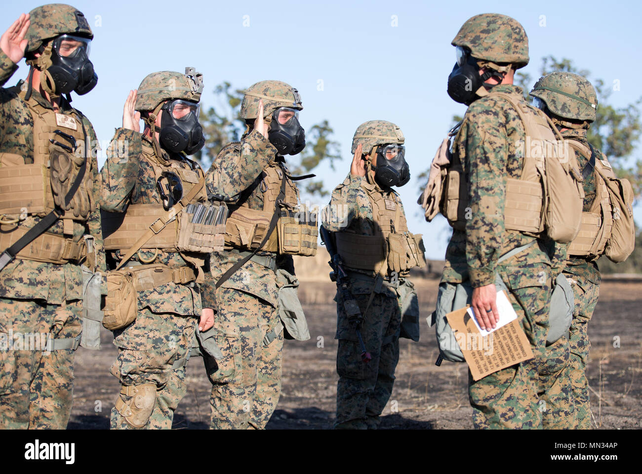1st Combat Engineer Battalion High Resolution Stock Photography and ...