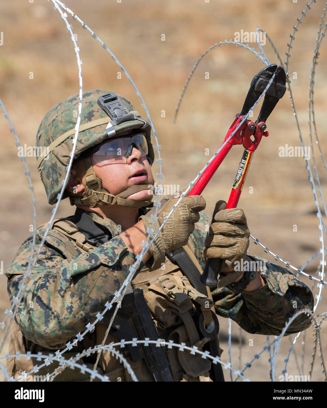1st Combat Engineer Battalion High Resolution Stock Photography and ...