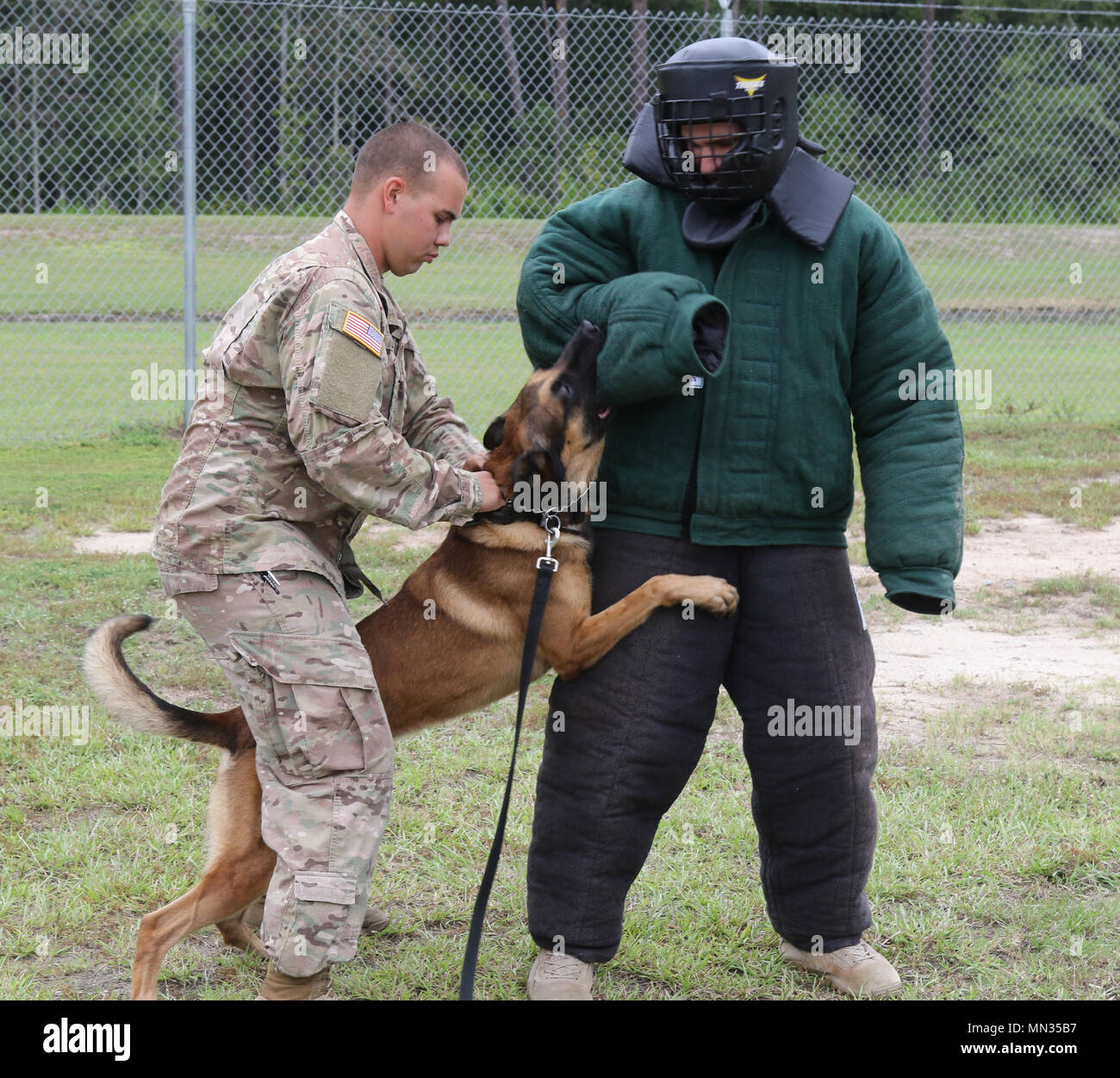 Controlled agression training hi-res stock photography and images - Alamy