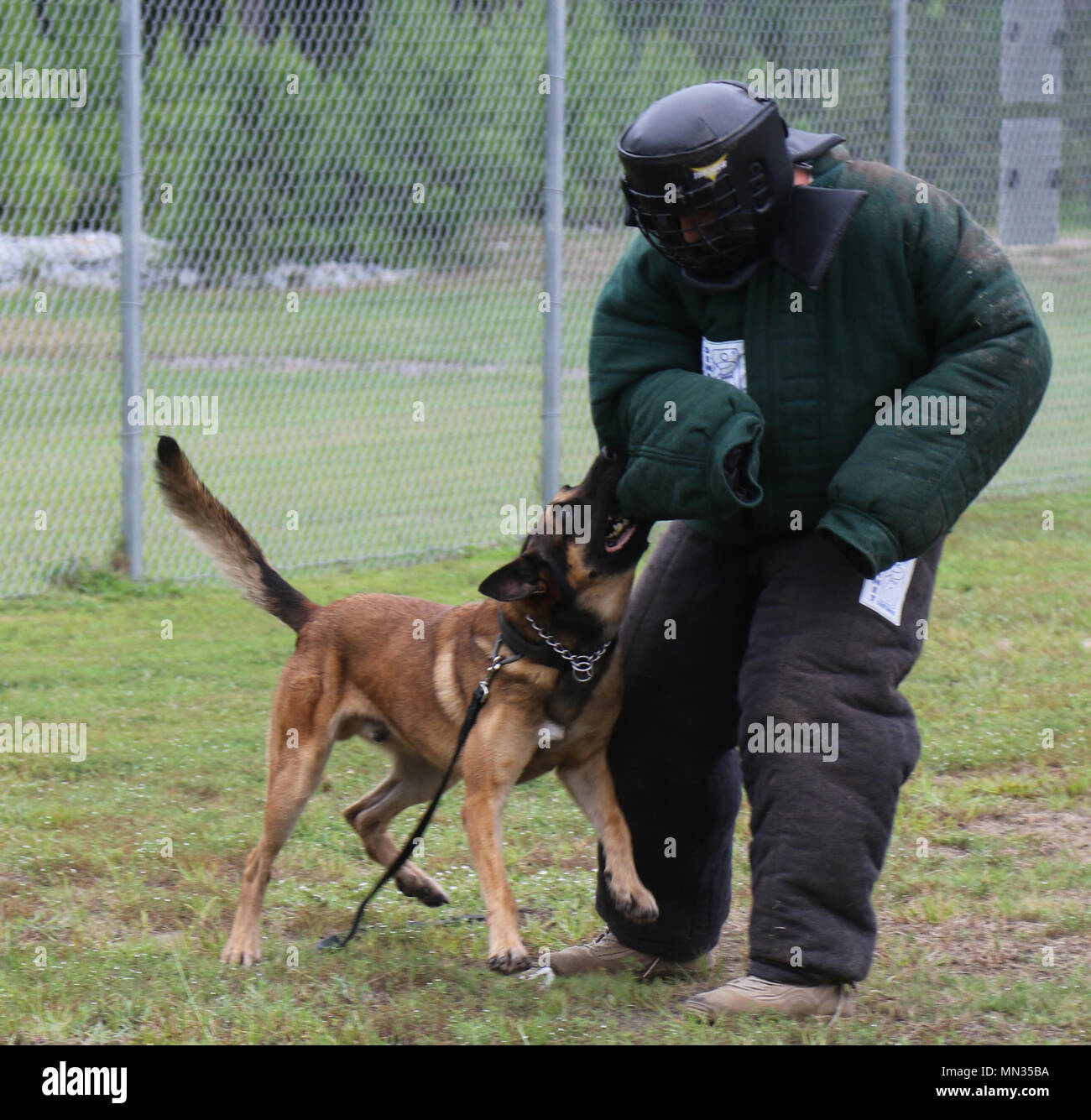 385 mp batt hi-res stock photography and images - Alamy