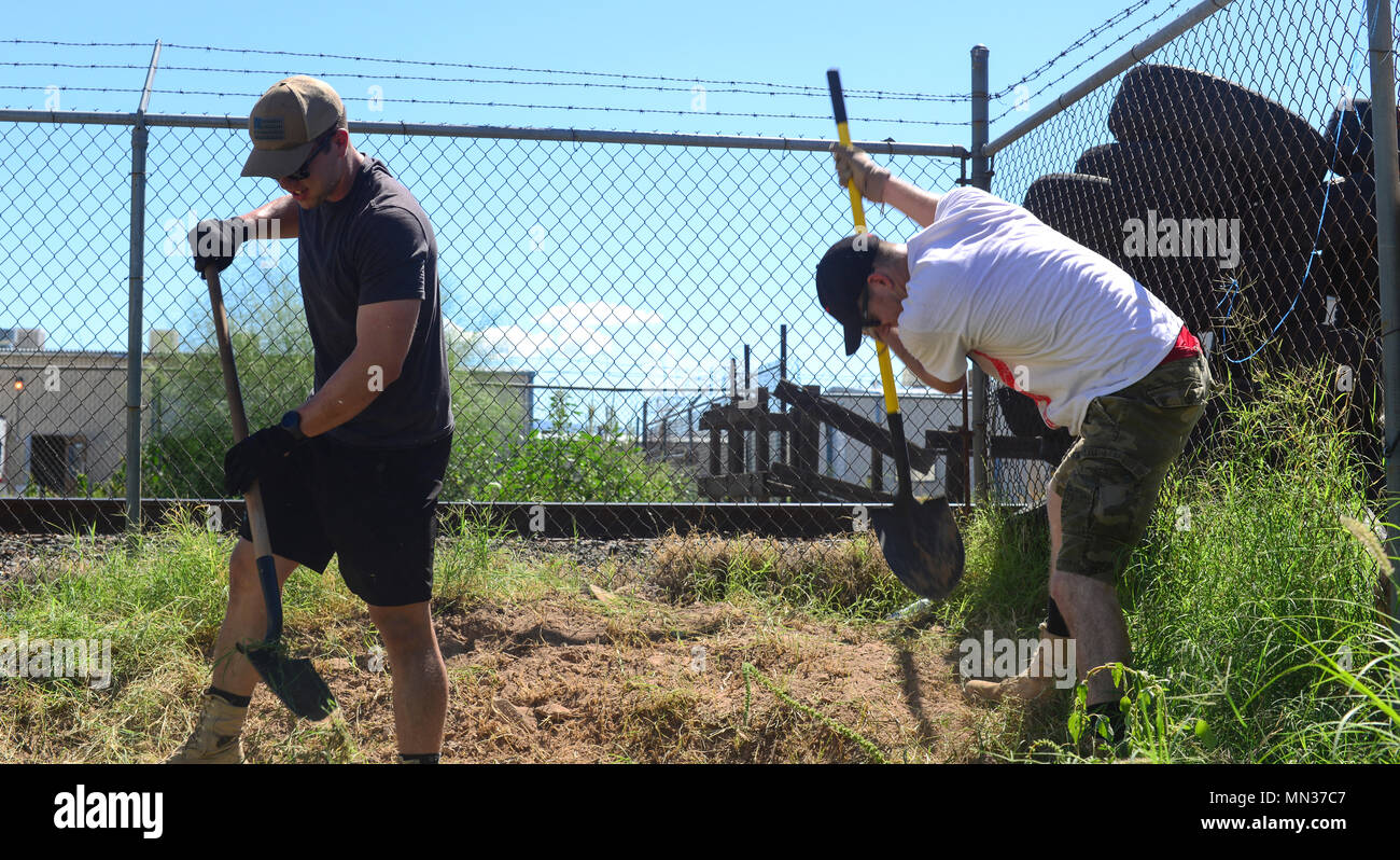 Dig up weeds hi-res stock photography and images - Alamy