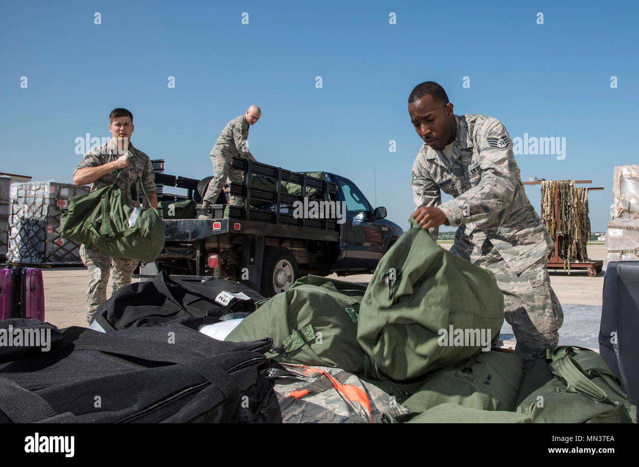 Ccat hi-res stock photography and images - Alamy