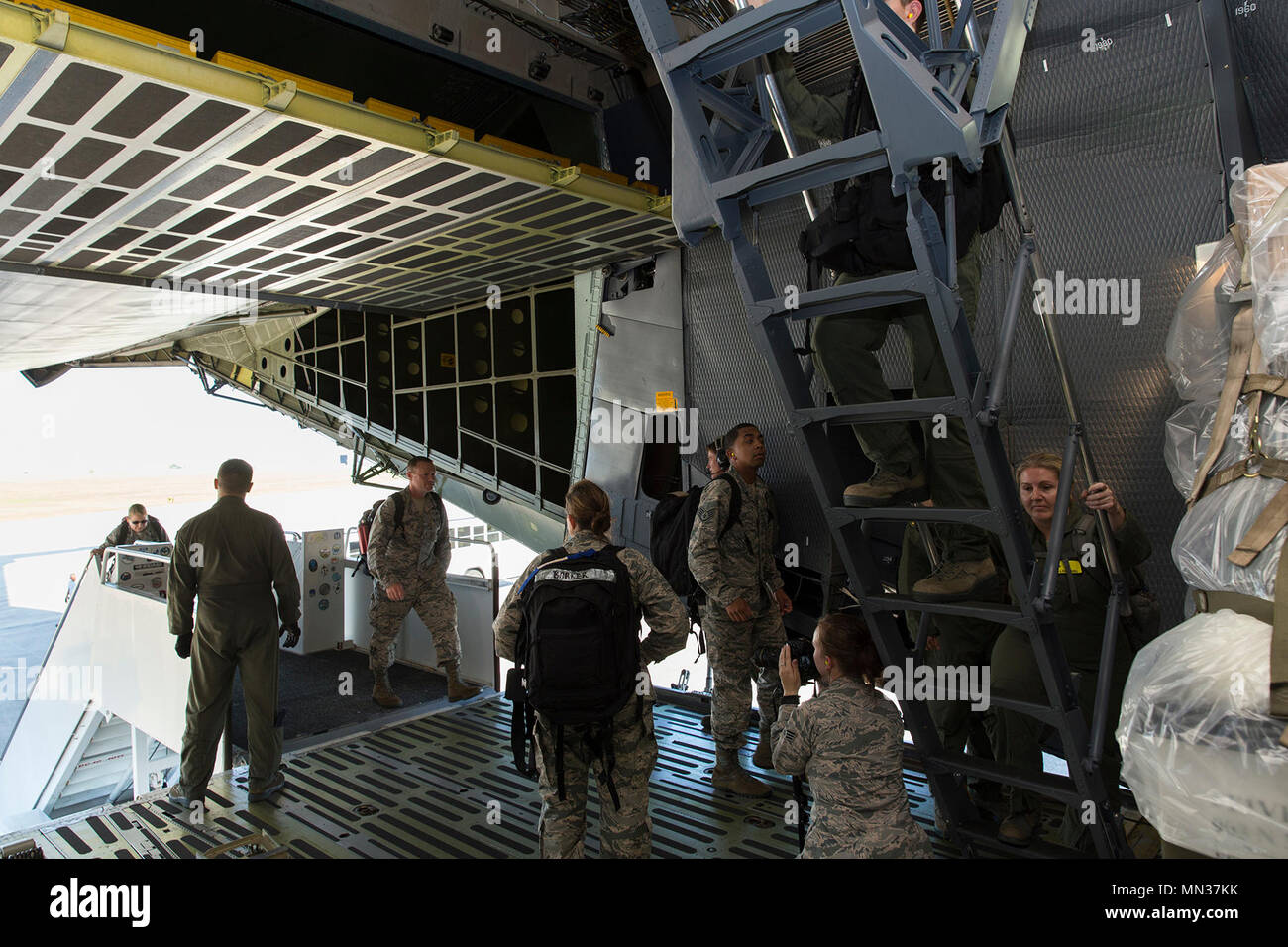 Ccat hi-res stock photography and images - Alamy