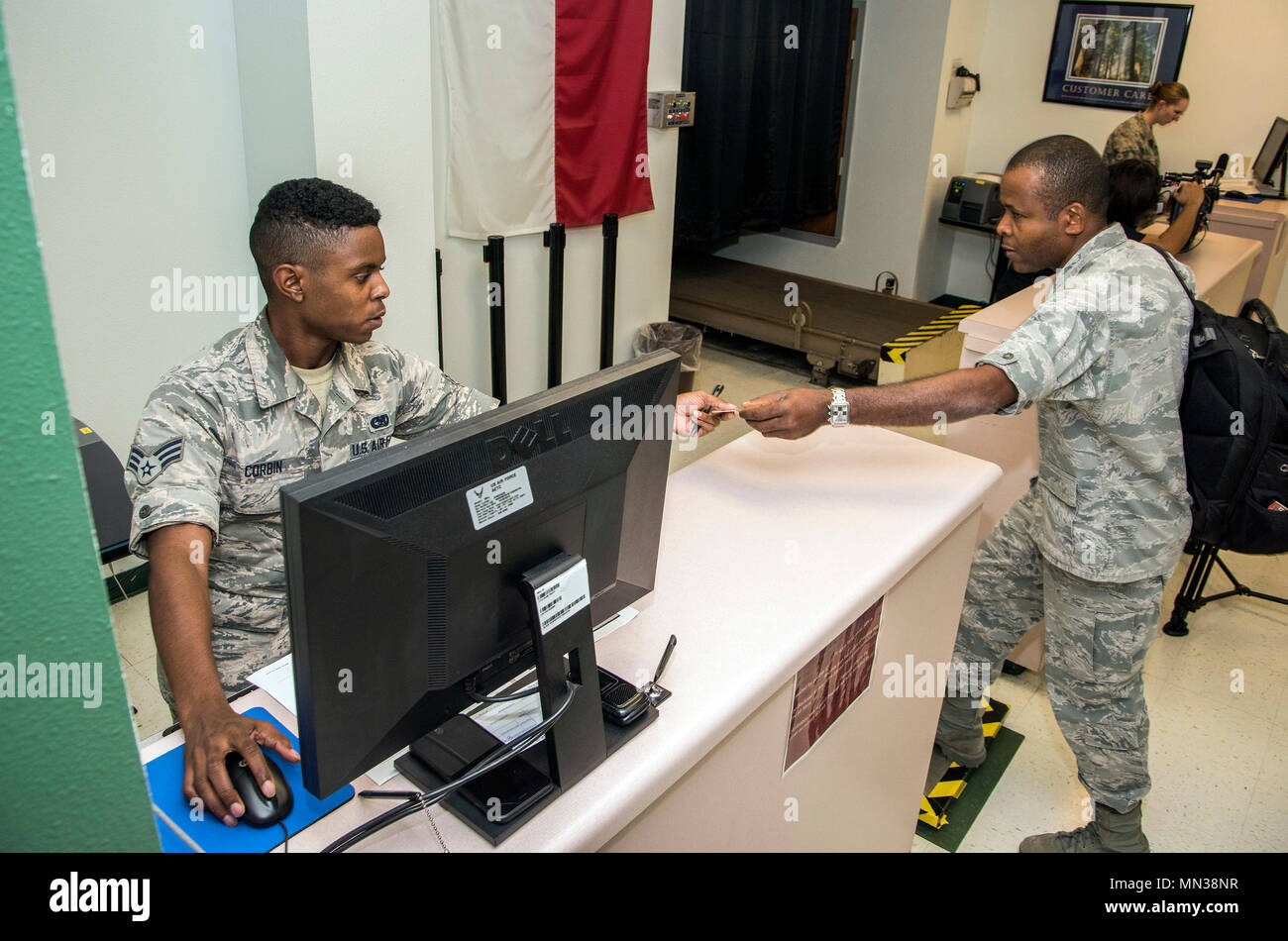 Ccat hi-res stock photography and images - Alamy