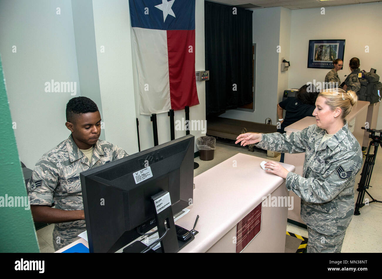 Ccat hi-res stock photography and images - Alamy