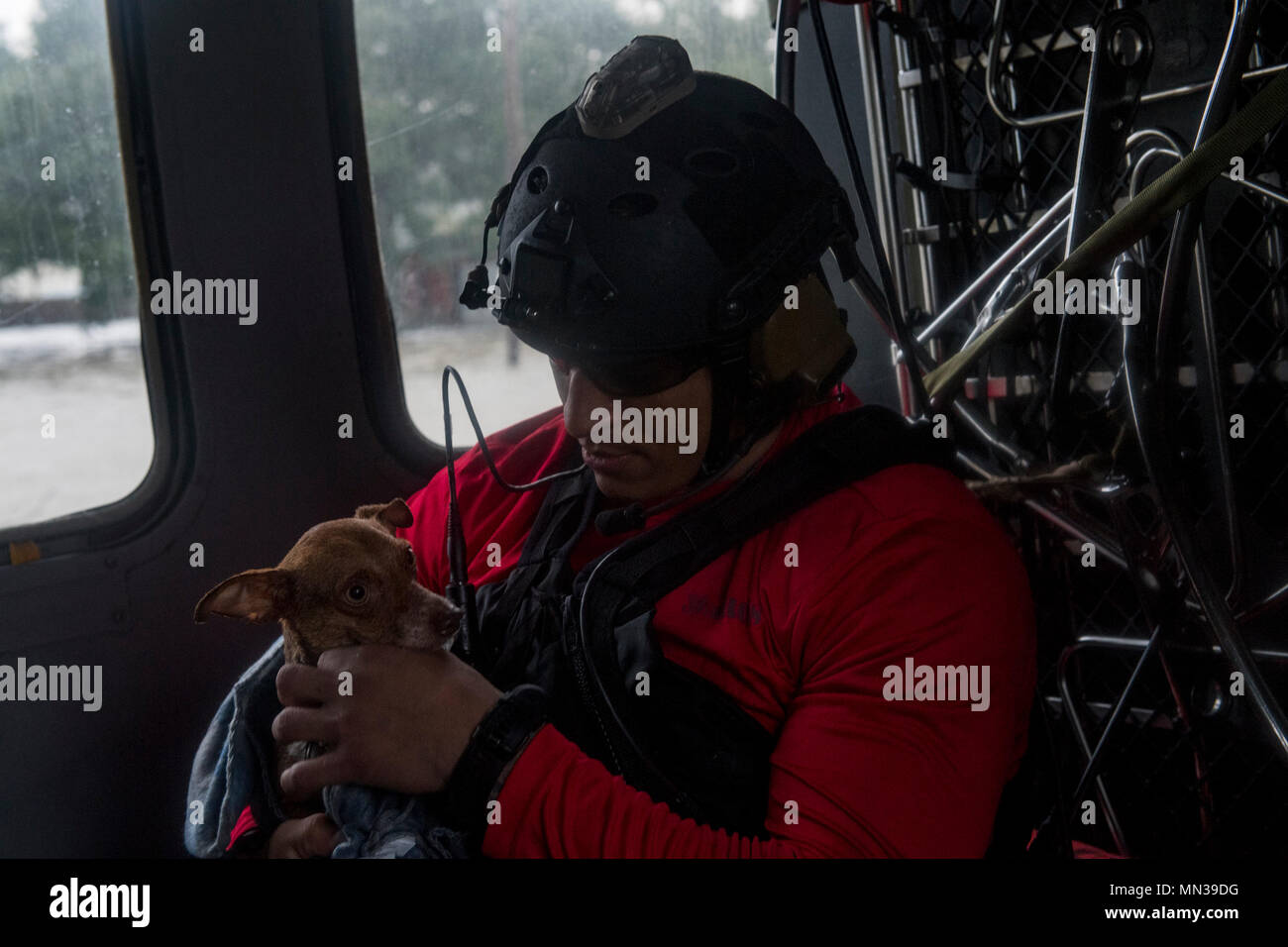 Dog relief station hi-res stock photography and images - Alamy