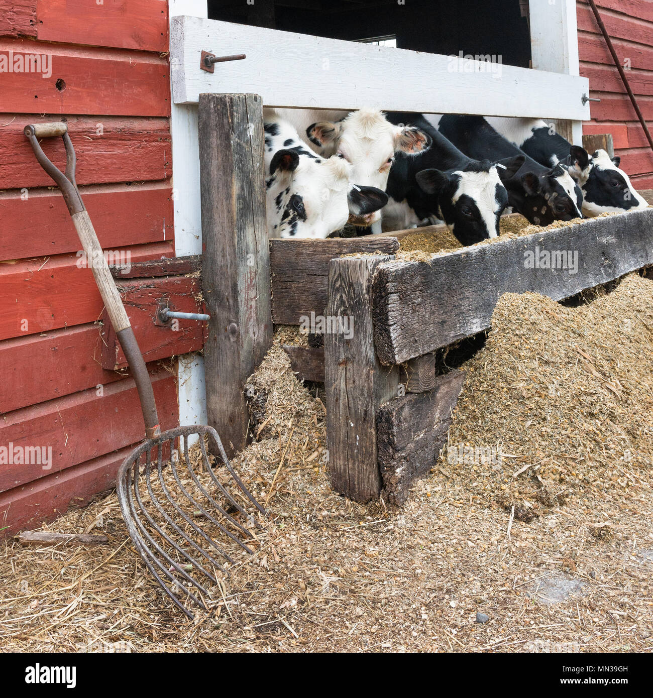 Red Black Barn High Resolution Stock Photography and Images - Alamy