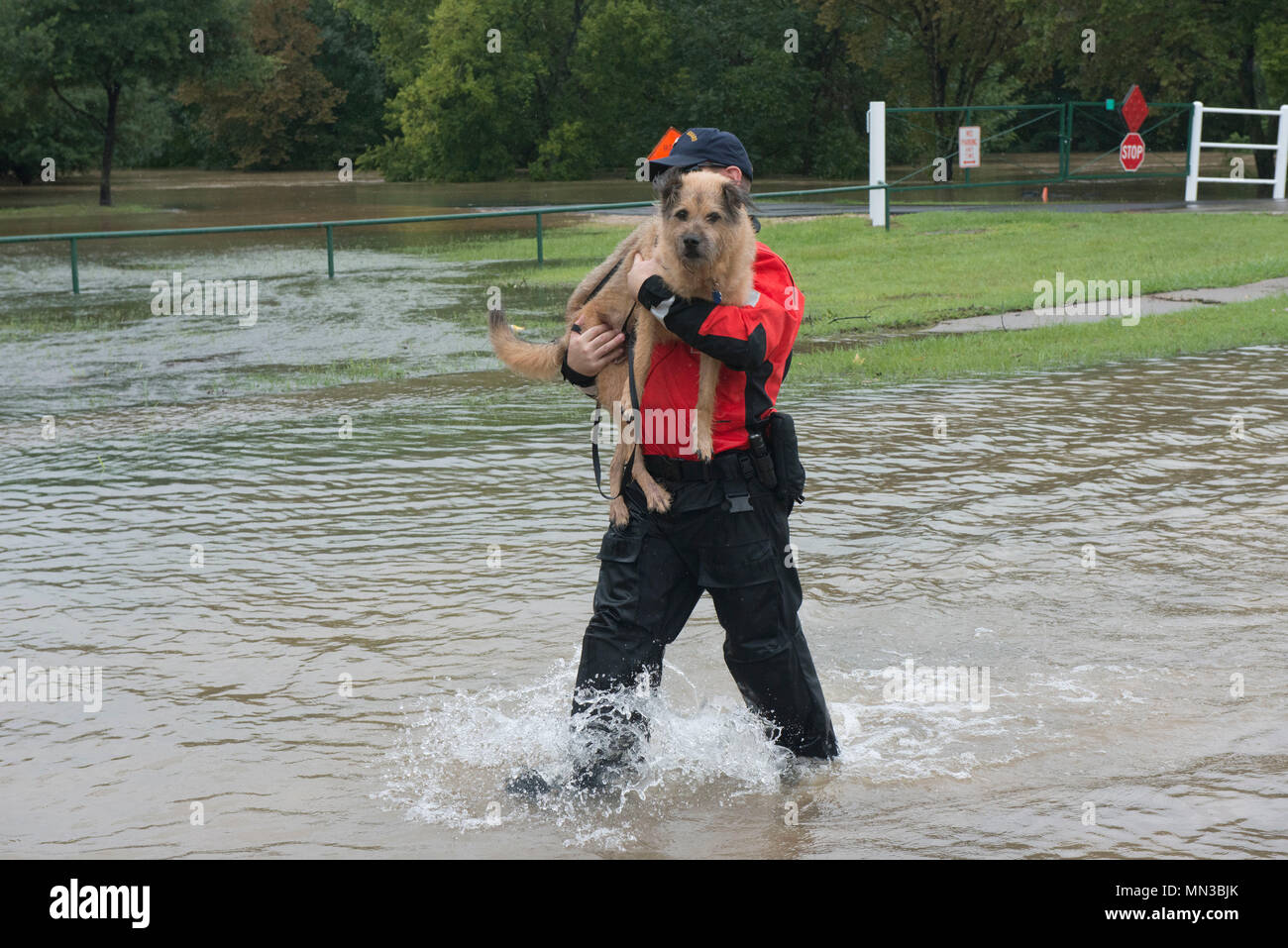 A Coast Guard flood punt team crew member carries a family's dog ...