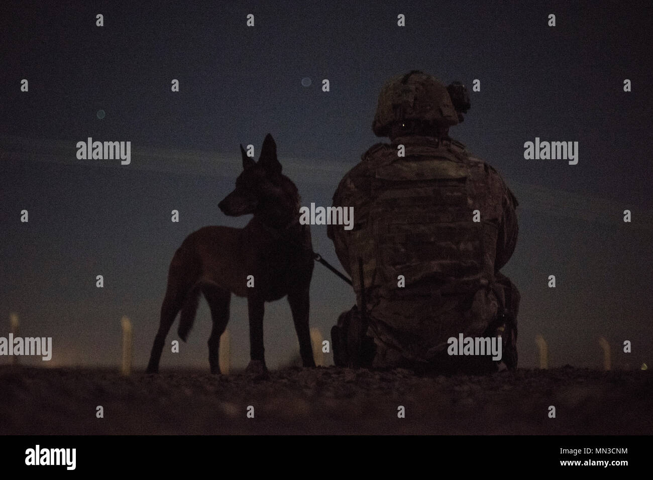 332nd esfs hi-res stock photography and images - Alamy