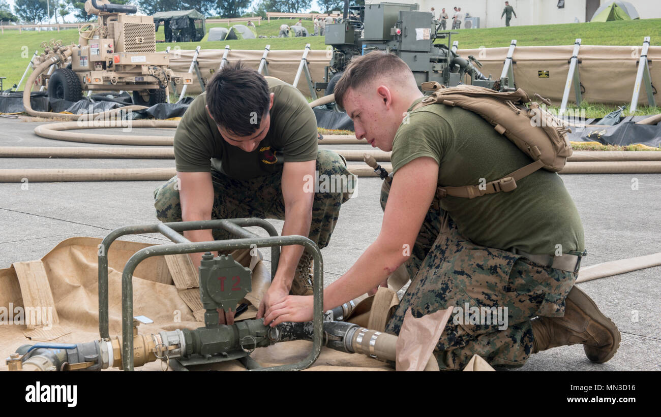 Conops hi-res stock photography and images - Alamy