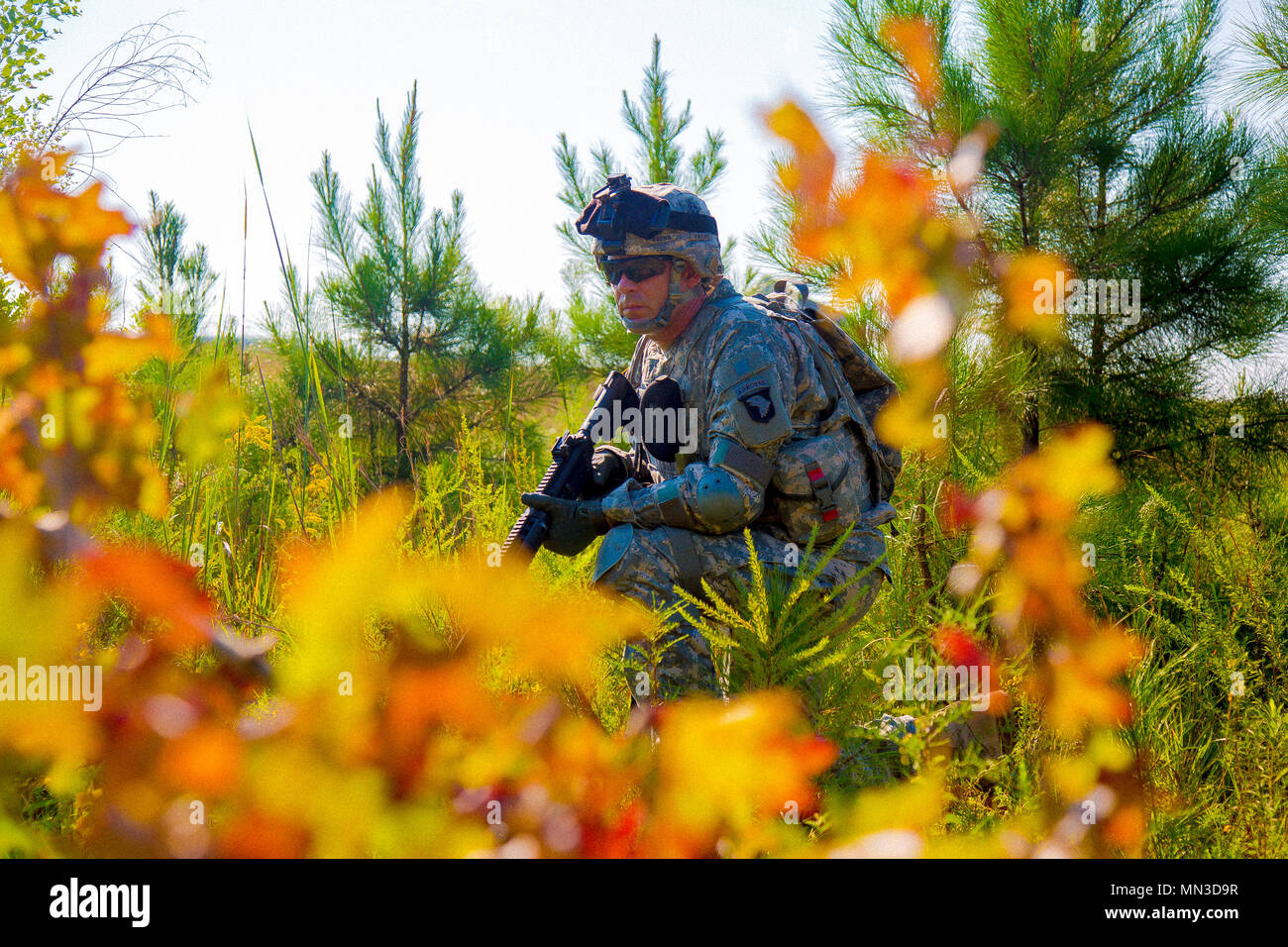 101th airborne division hi-res stock photography and images - Alamy