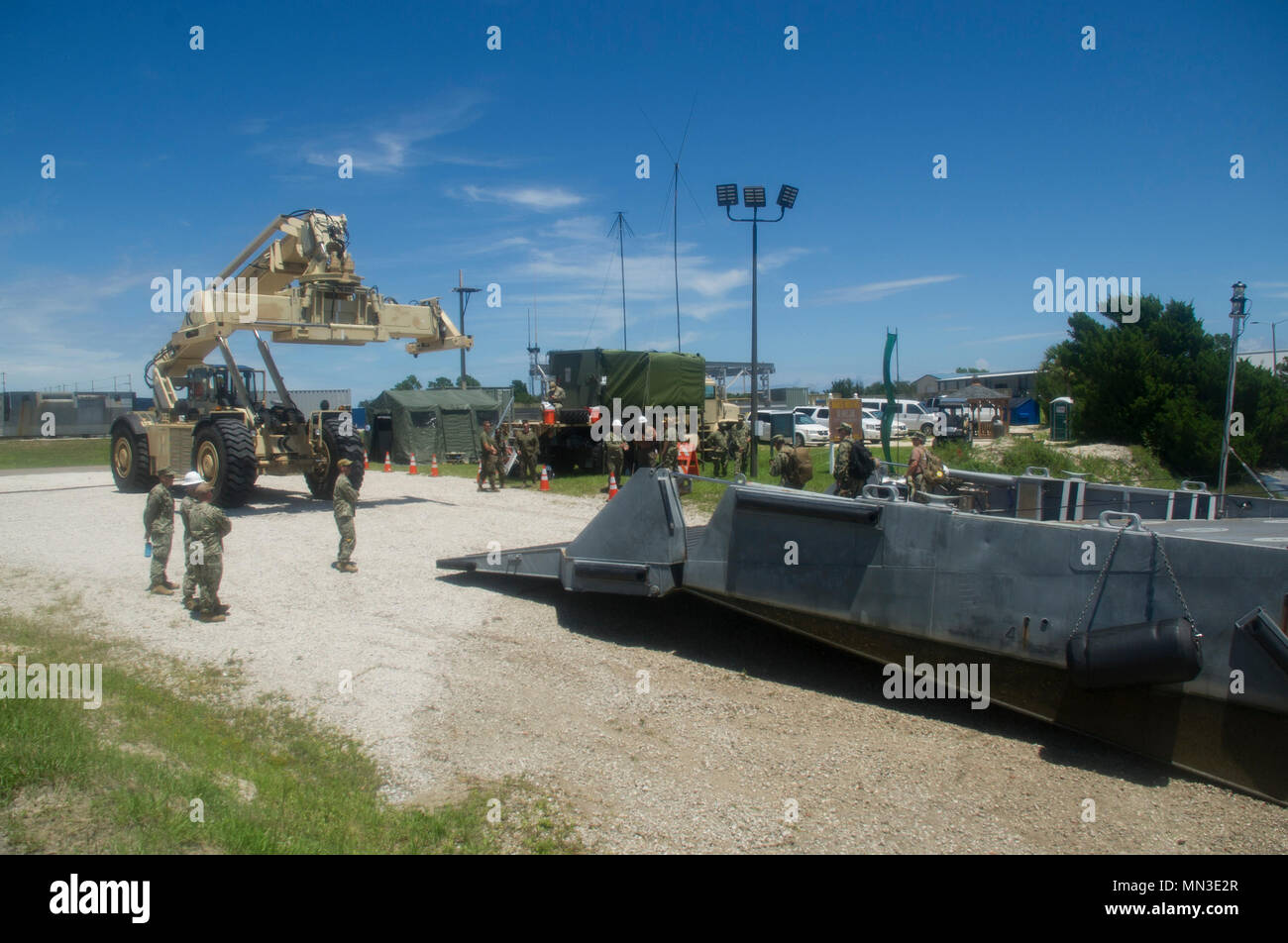 Bold alligator 2017 hi-res stock photography and images - Alamy
