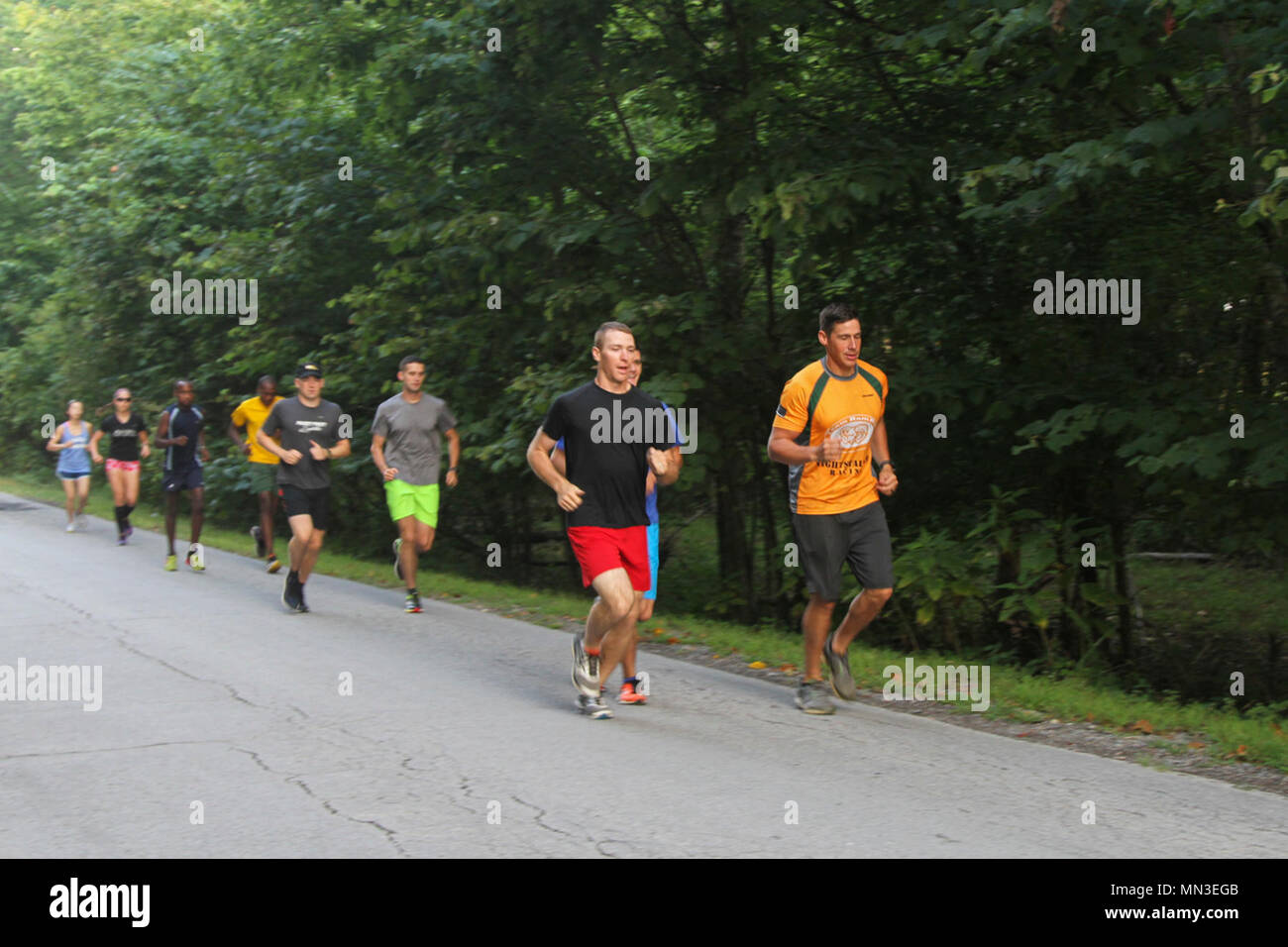 101st airborne div headquarters and headquarters battalion hi-res stock ...