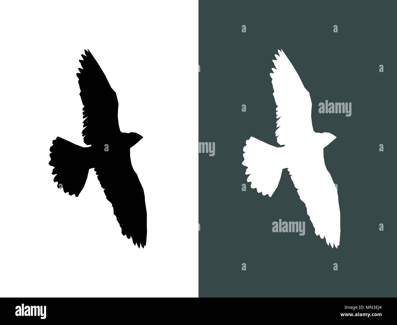 Birds of prey Stock Vector Images - Alamy