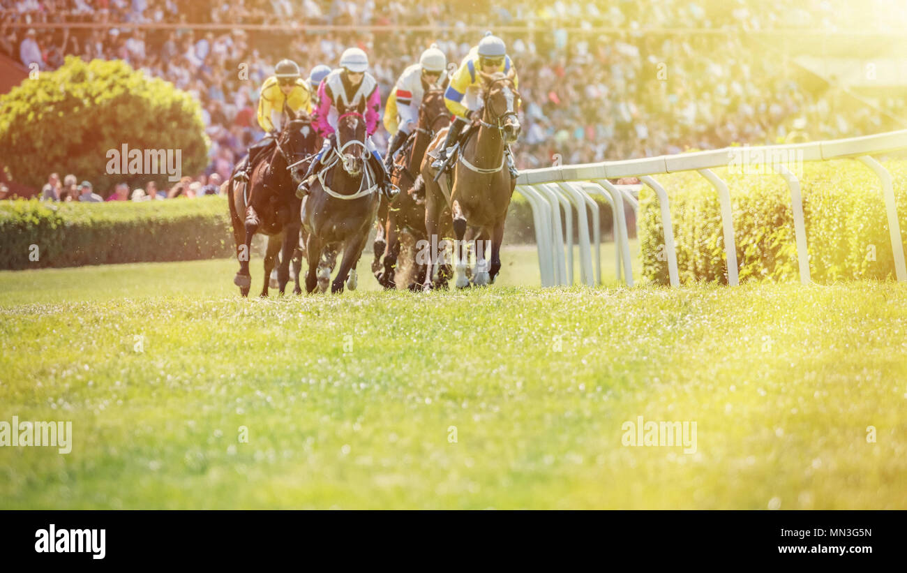 Kentucky derby horse running hi-res stock photography and images - Alamy