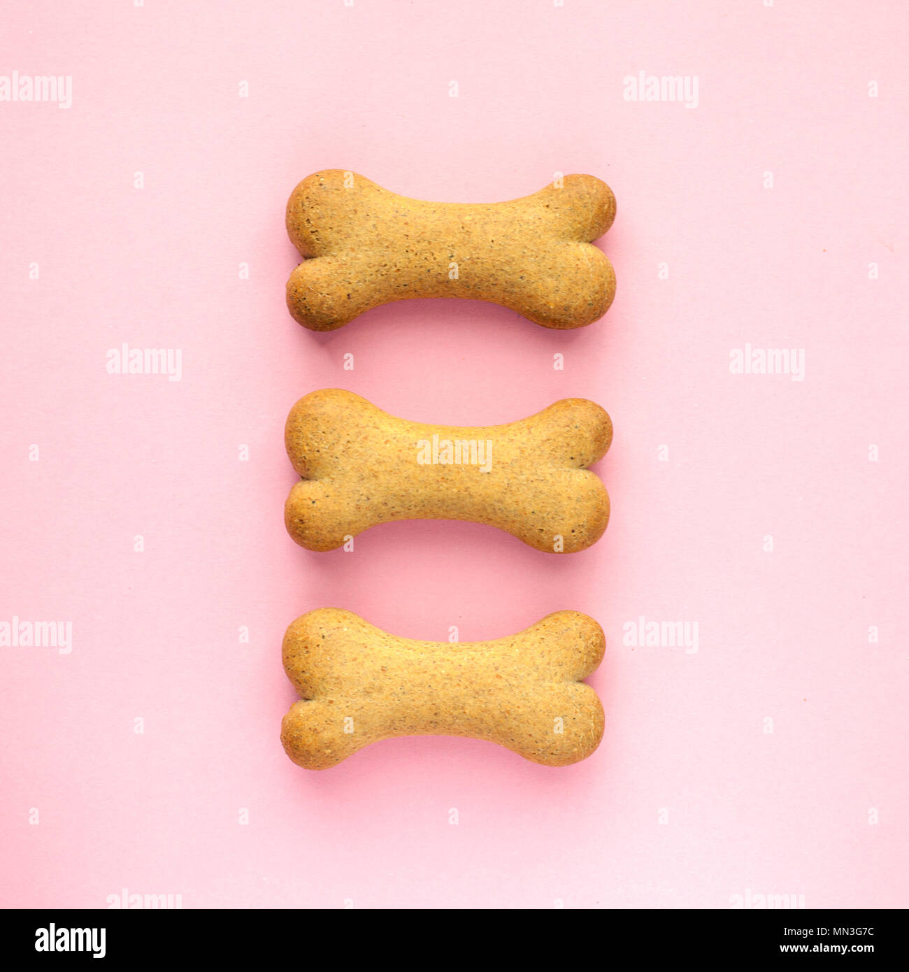 Bone shaped cookie hi-res stock photography and images - Alamy