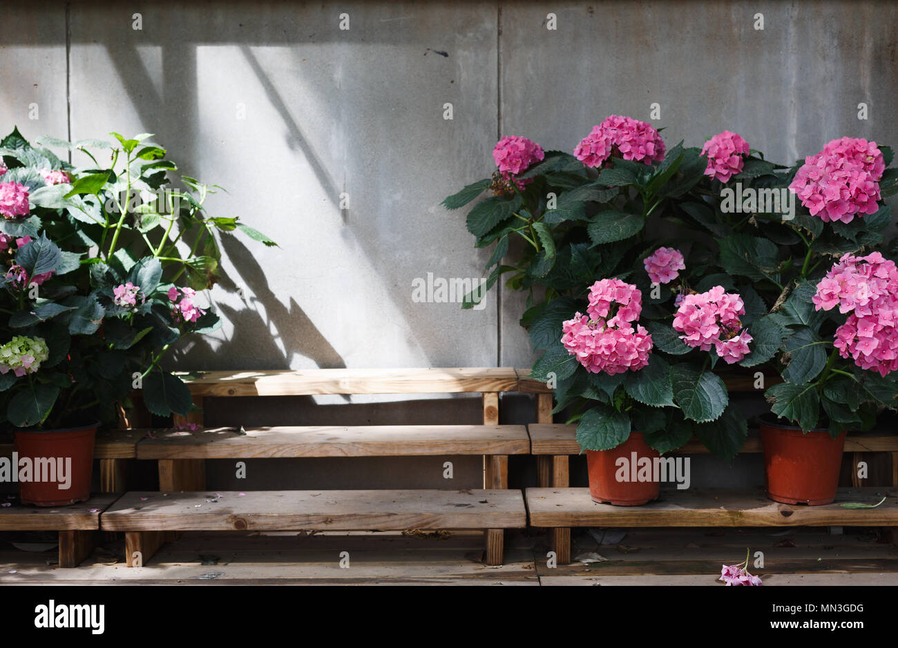 Long wooden chair in hi-res stock photography and images - Alamy