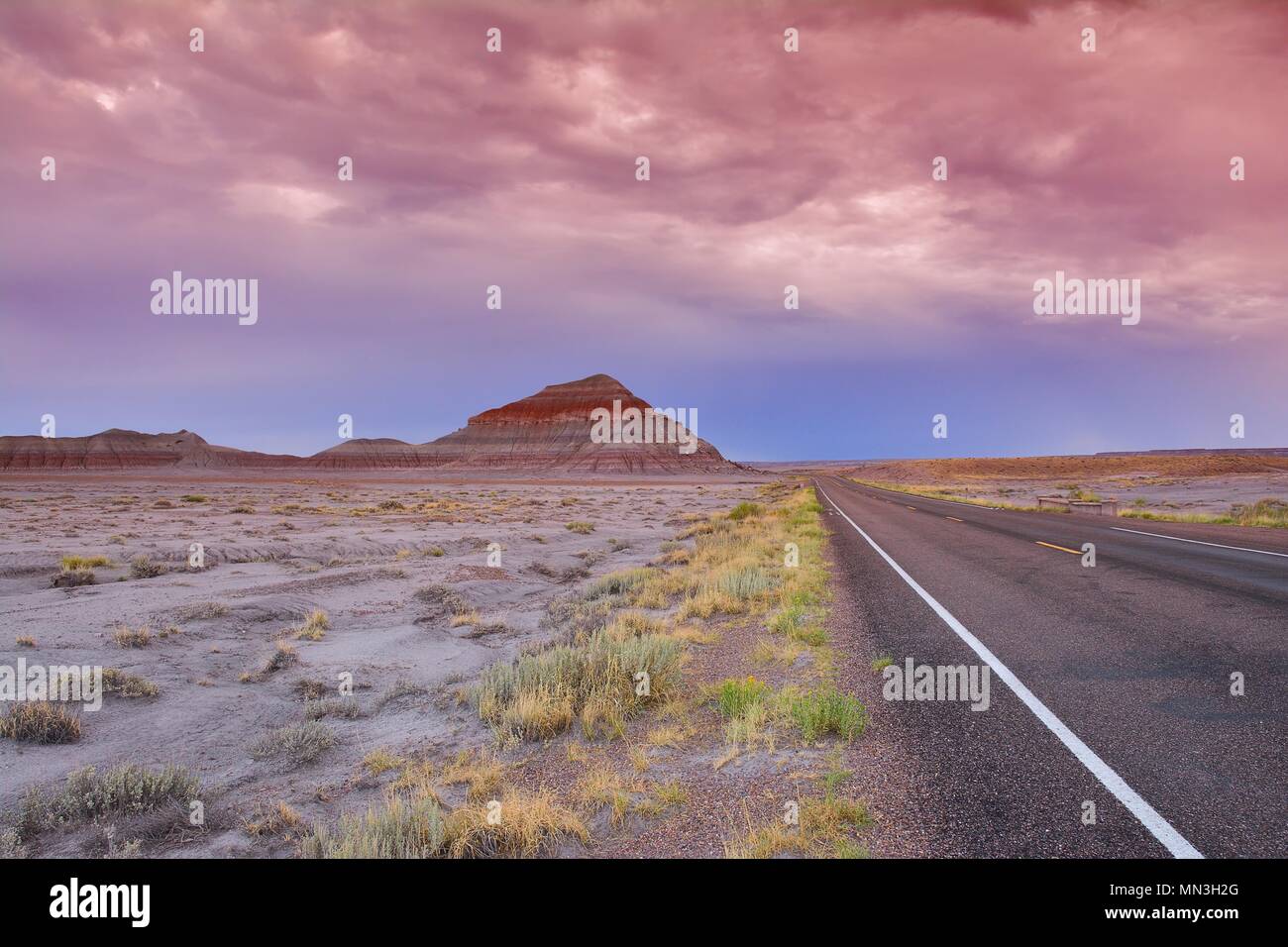 Nature Painted Desert, Petrified Forest National Park, Arizona, USA ...