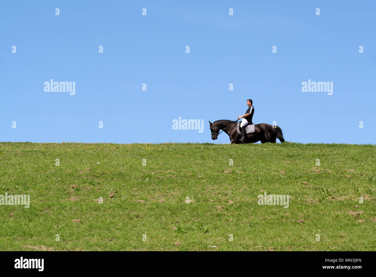 Netherlands,Holland,Dutch,Zeeland,Westkapelle,july 2017:Horse riding ...