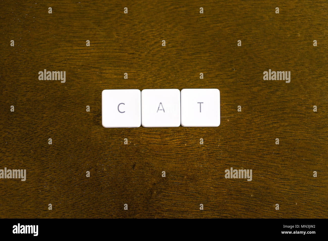 CAT word written on plastic keyboard alphabet with dark background ...