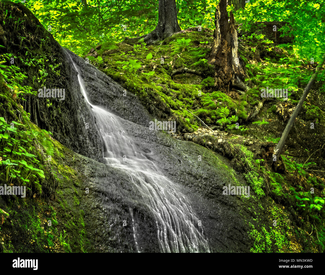 Cascade Falls in Nelson Ledges State Park Ohio. A pretty falls seen ...