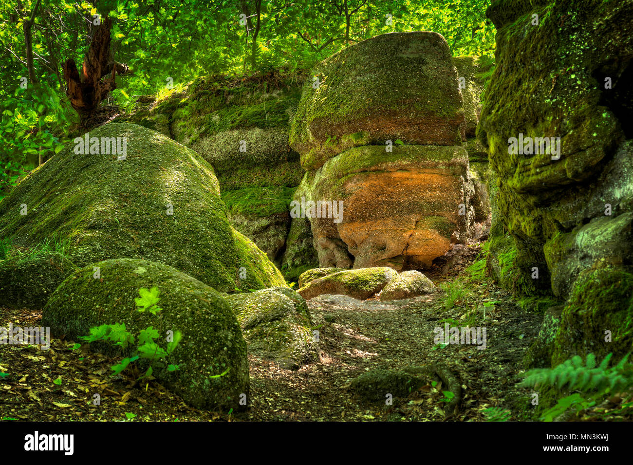 Huge moss and lichen covered boulders at Nelson Ledges State Park Ohio ...