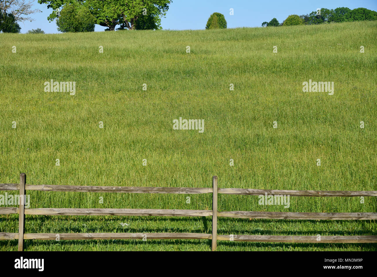 A countryside pasture with rustic fence Stock Photo - Alamy