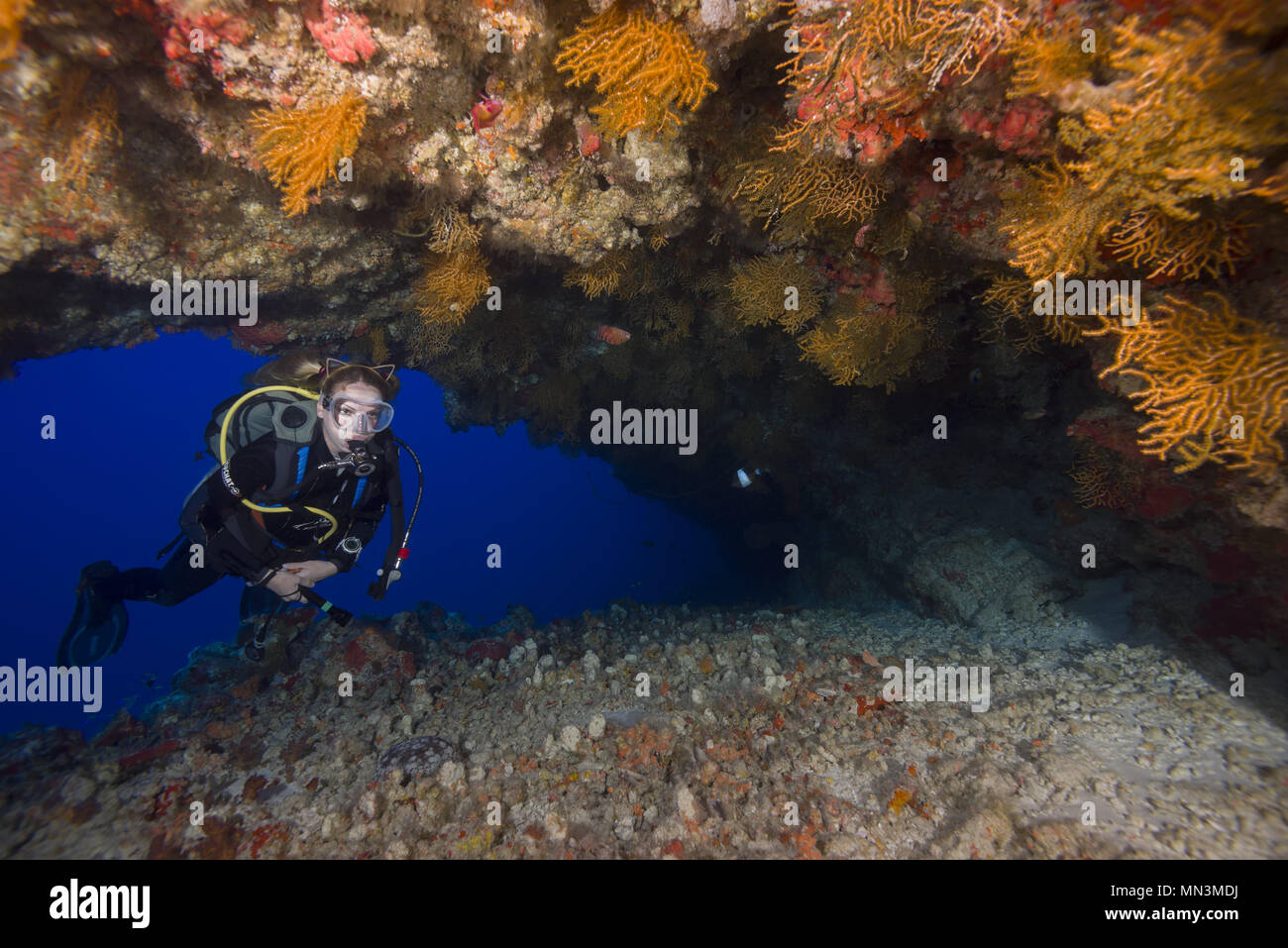 Scuba diver nature hi-res stock photography and images - Alamy