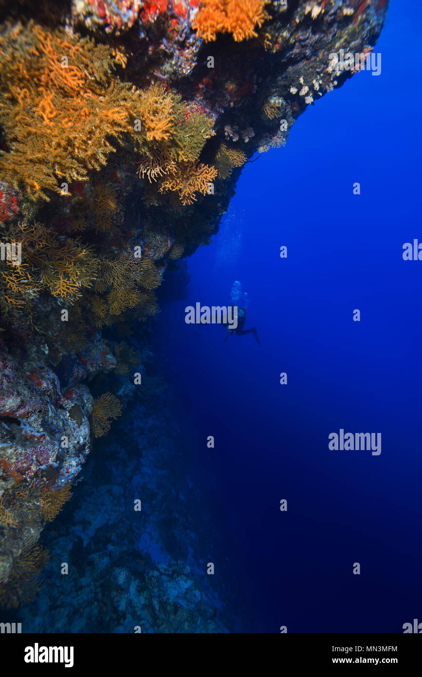 Woman ocean swim hi-res stock photography and images - Alamy