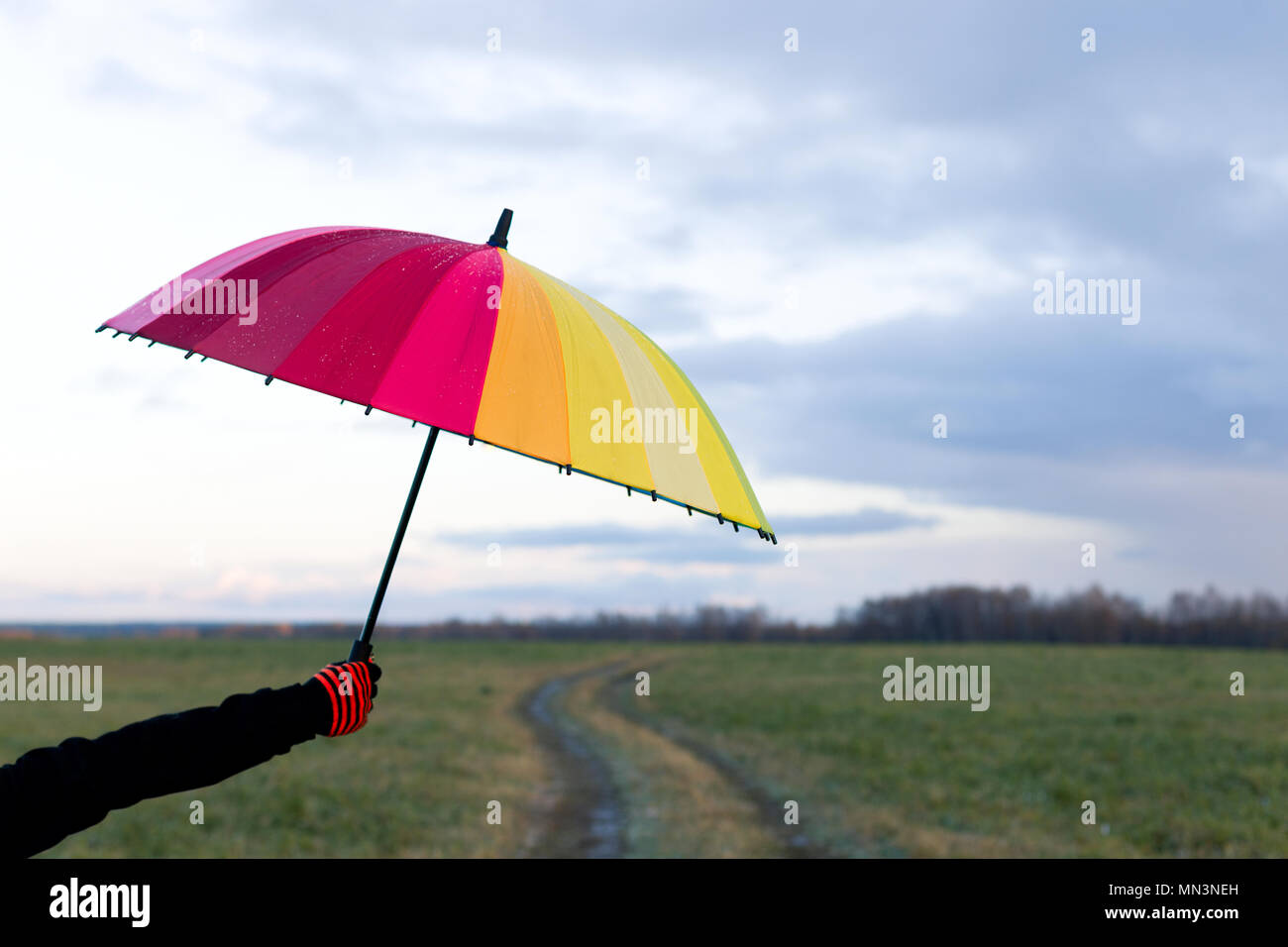 Hand holding hold umbrella hi-res stock photography and images - Alamy