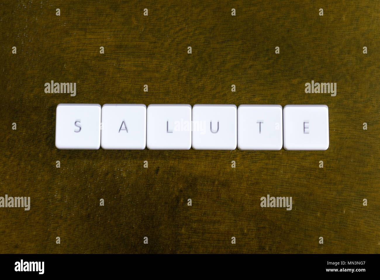SALUTE word written on plastic keyboard alphabet with dark background ...
