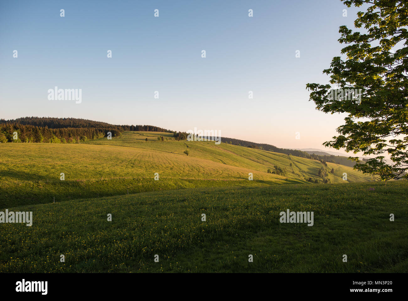 landscape Germany münstertal Stock Photo - Alamy