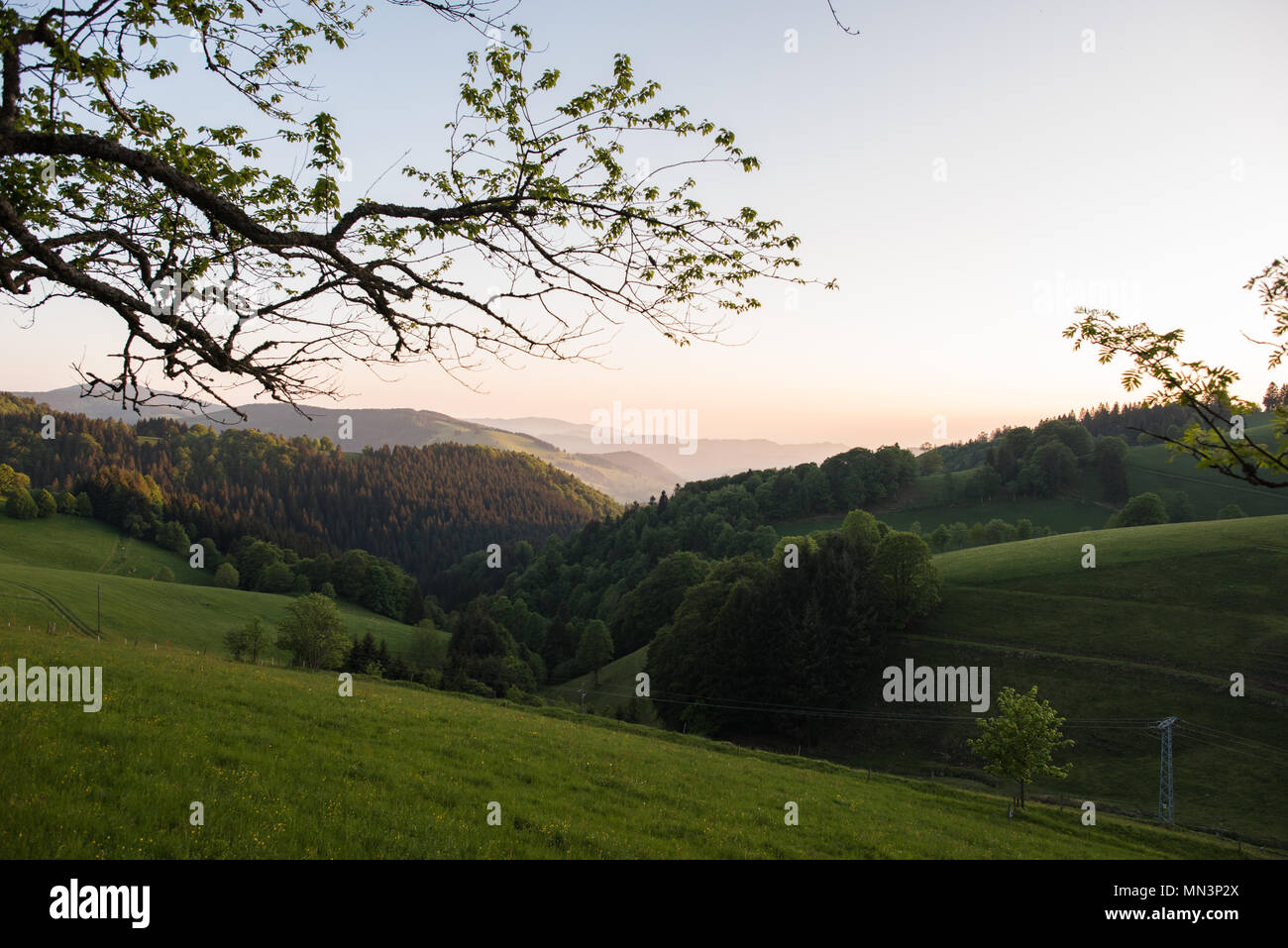 Munstertal Valley High Resolution Stock Photography and Images - Alamy