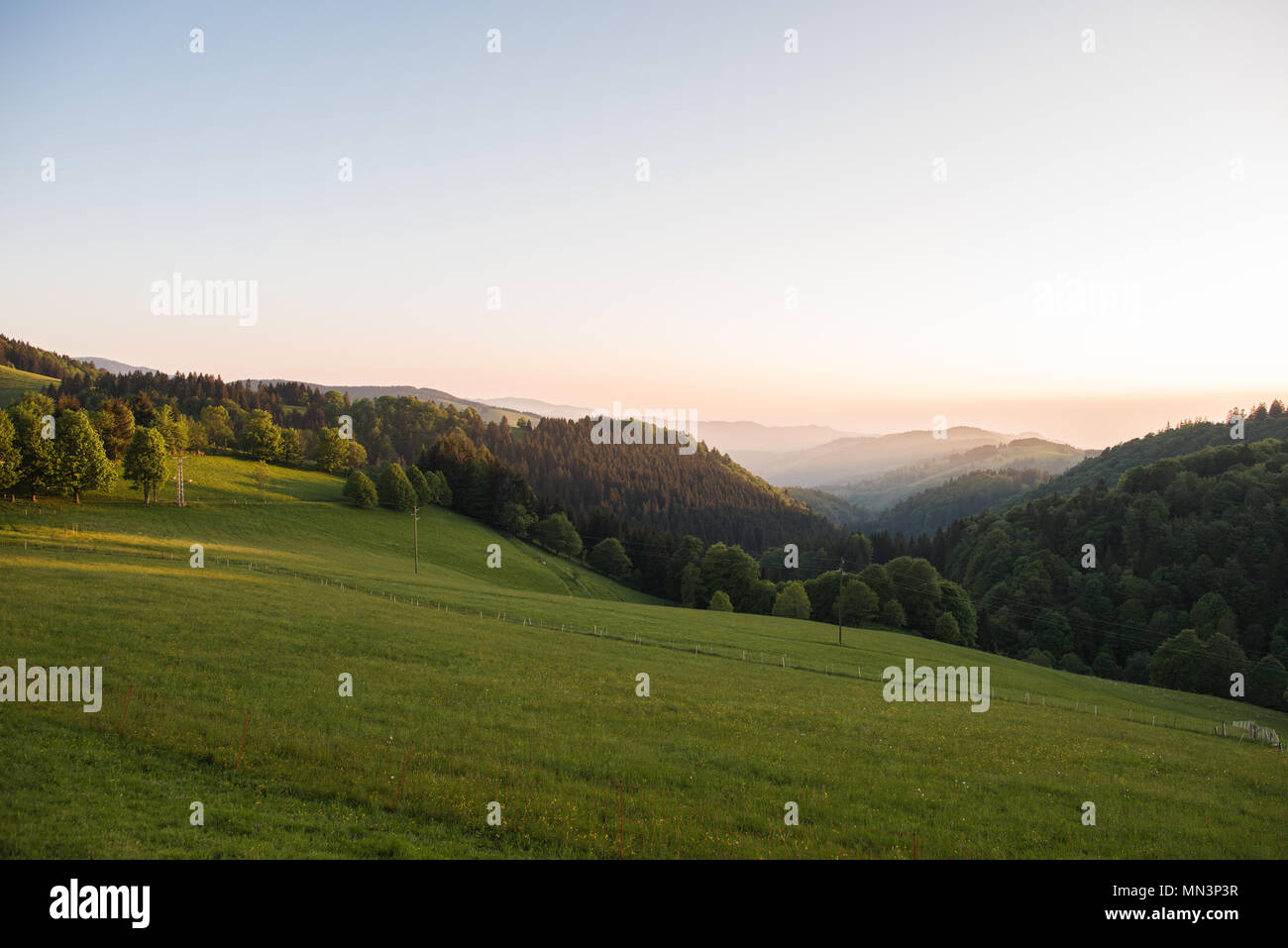 Munstertal Valley High Resolution Stock Photography and Images - Alamy