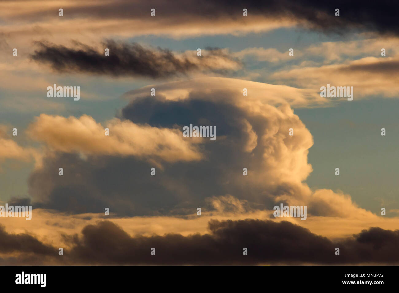 Dense formation hi-res stock photography and images - Alamy