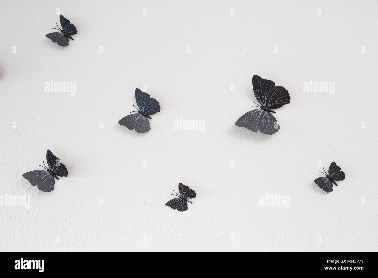 Butterfly background texture black and white Stock Photo - Alamy
