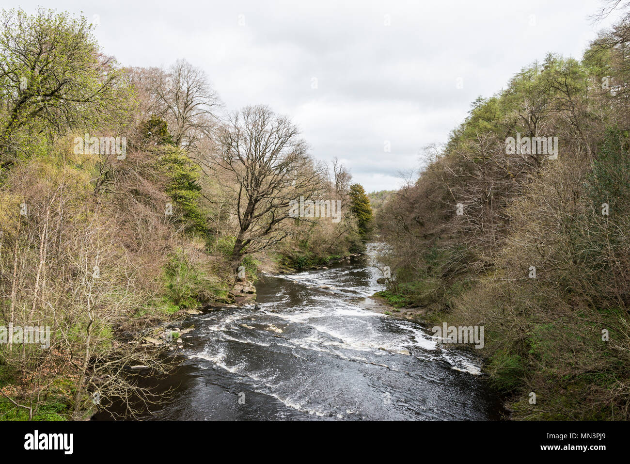 The river Almond in Almondell Counrty park seen from The Nasmyth Bridge ...