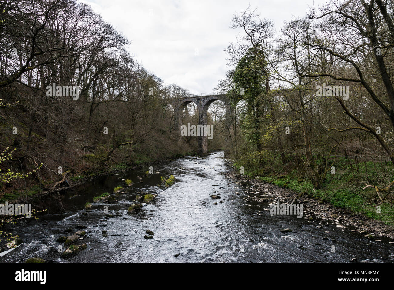 Camps viaduct spanning the river Almond in Almondell & Calderwood ...