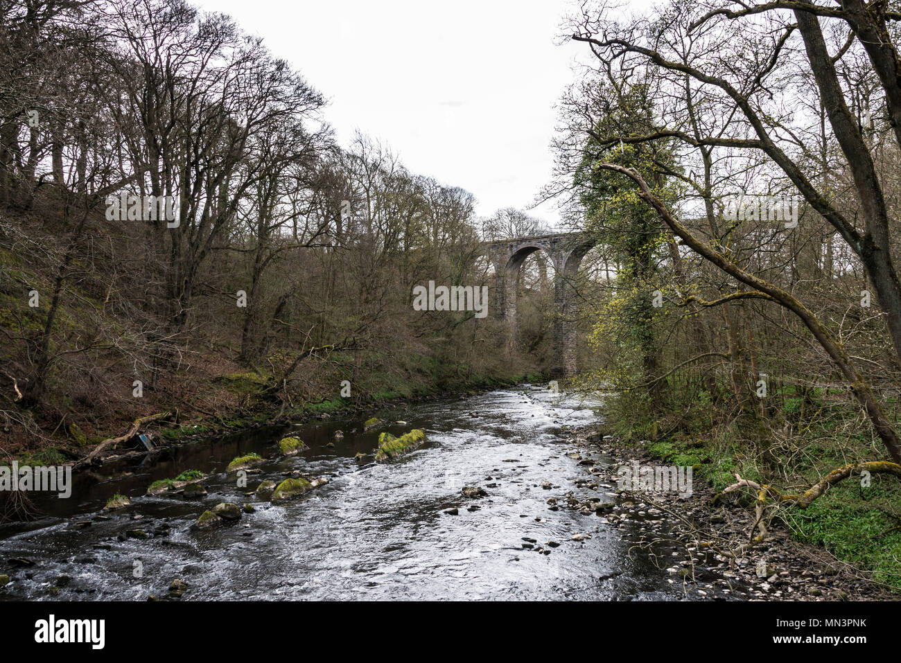 Camps viaduct spanning the river Almond in Almondell & Calderwood ...