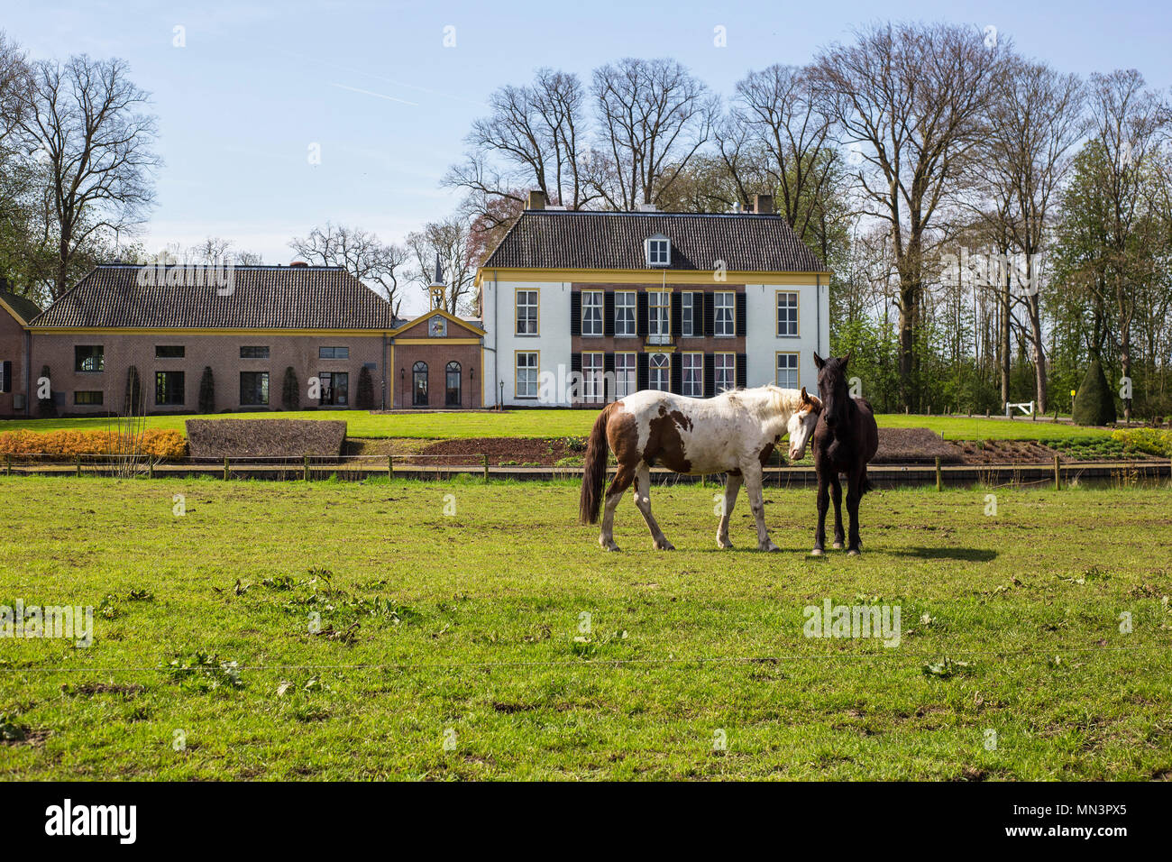 White stable green roof hi-res stock photography and images - Alamy