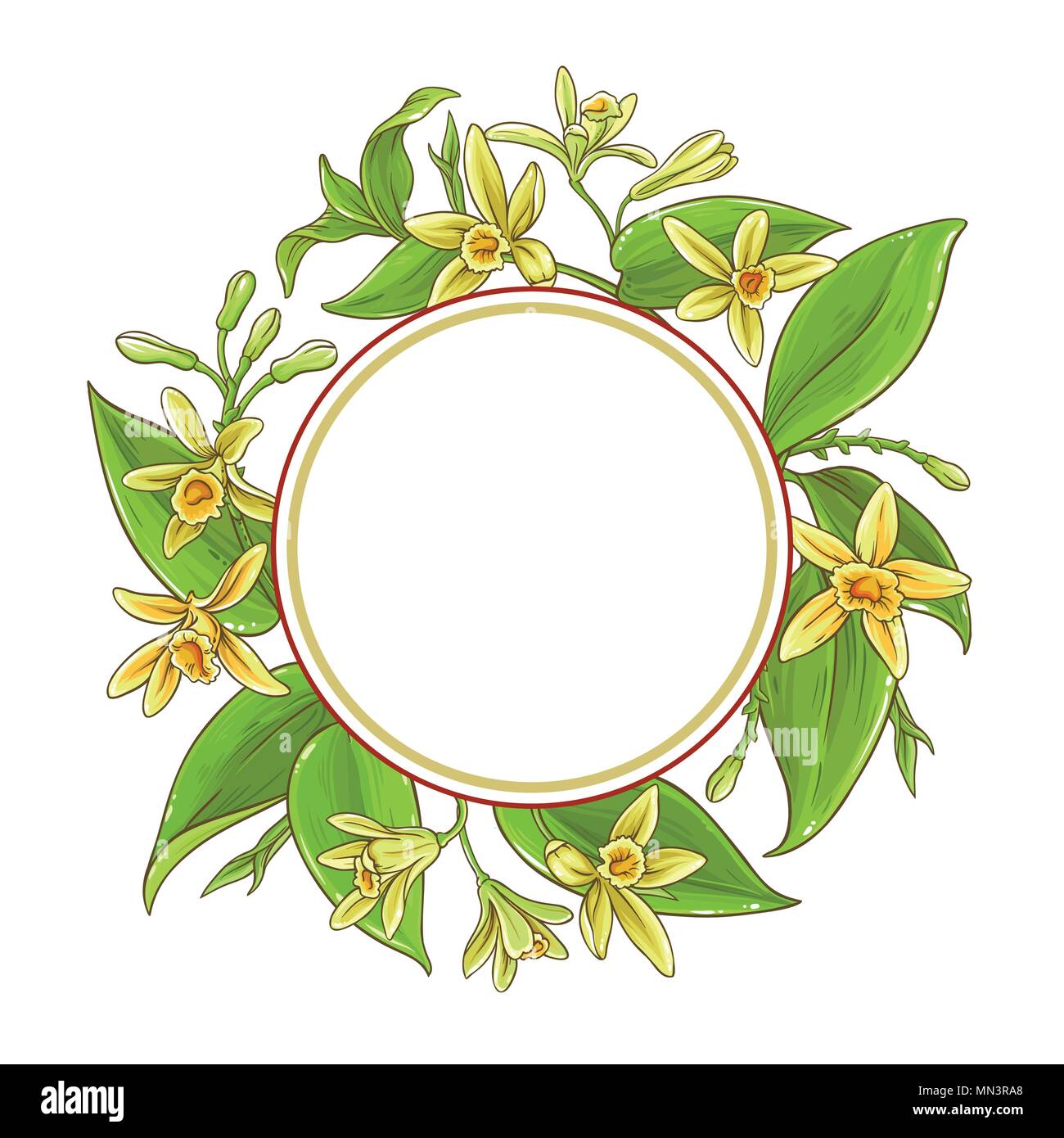 vanilla branches vector frame on white background Stock Vector Image ...