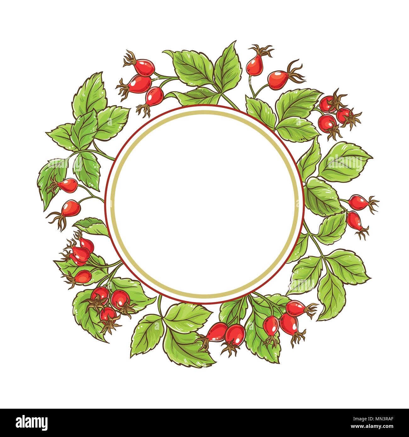 wild rose vector frame on white background Stock Vector Image & Art - Alamy