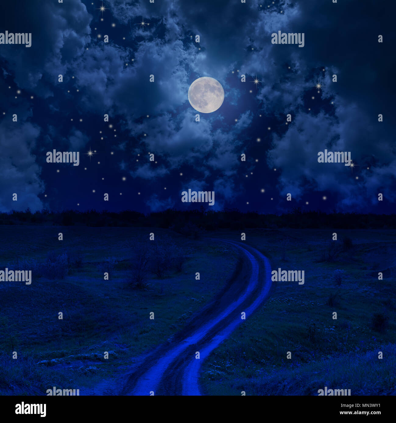 Starlight road hi-res stock photography and images - Alamy