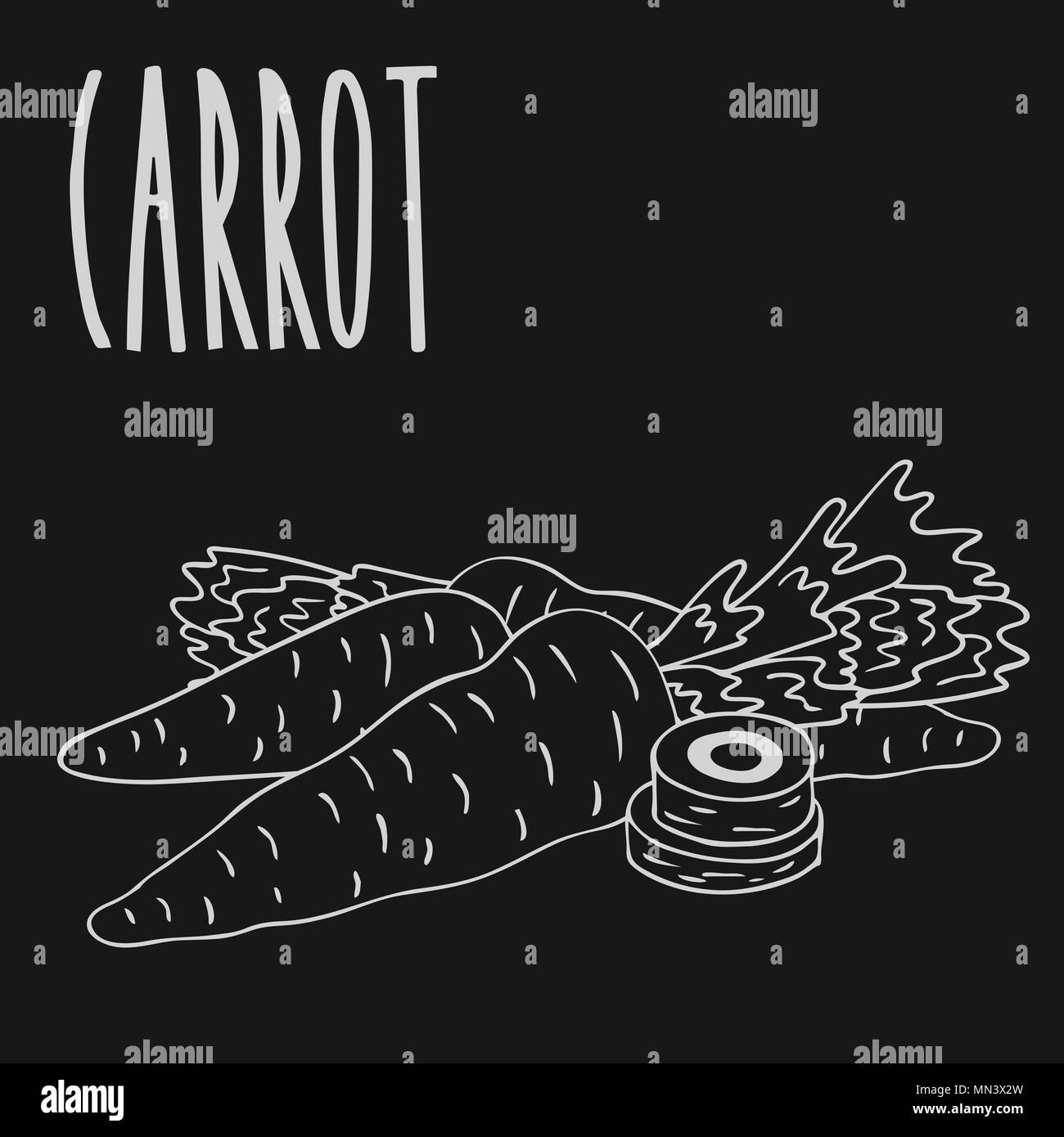 Carrot draw Stock Vector Images - Alamy